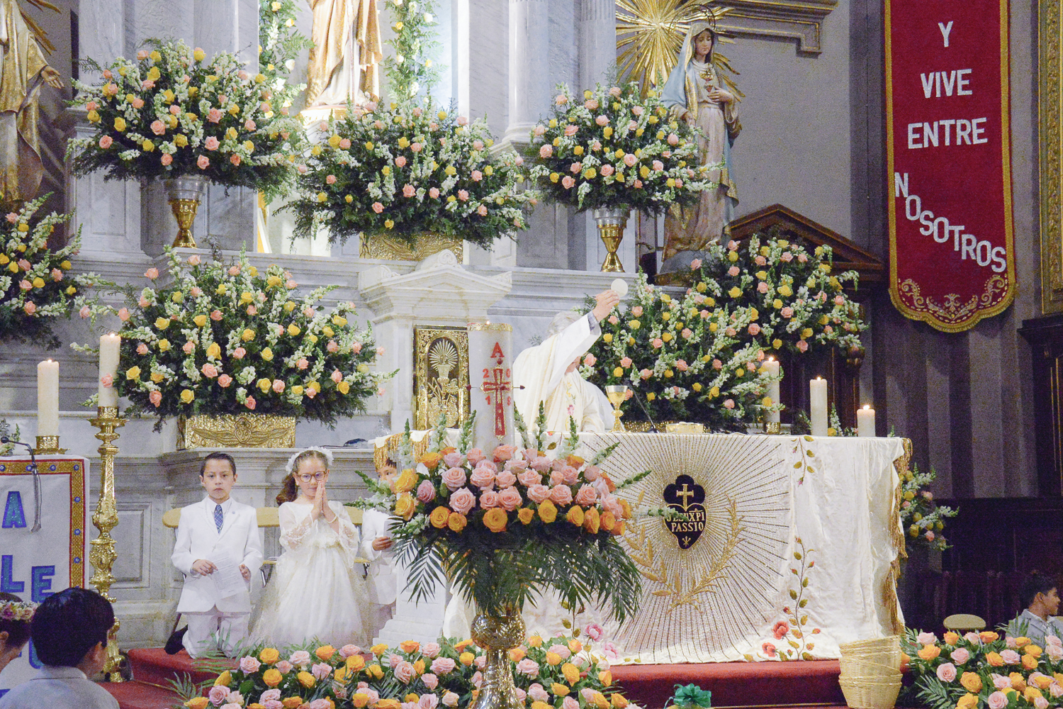 Fotografía de Primera Comunión - Vizualméxico